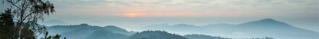 Providers | Interwest Health